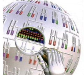 Bioinformatics & Drug Design Lab,Institute for Advancing Translational ...